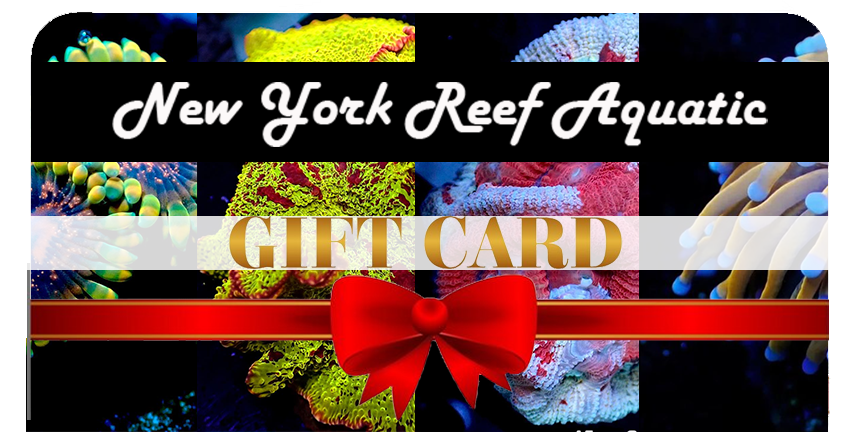 GIFT CARD – New York Reef Aquatic